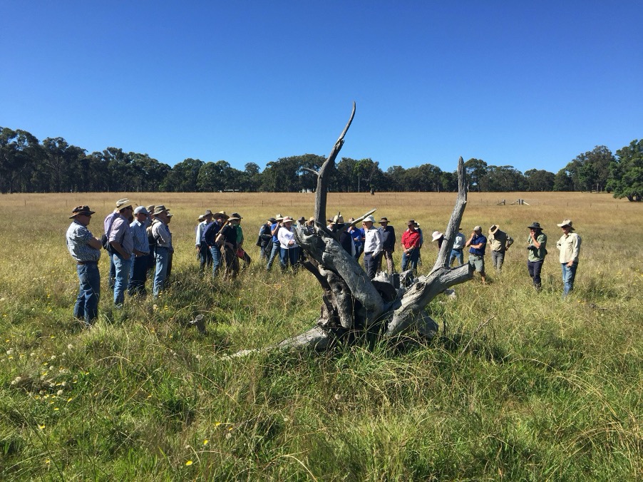 Regenerating Rural Landscapes 2-day Bootcamp | Sustainable Living Armidale